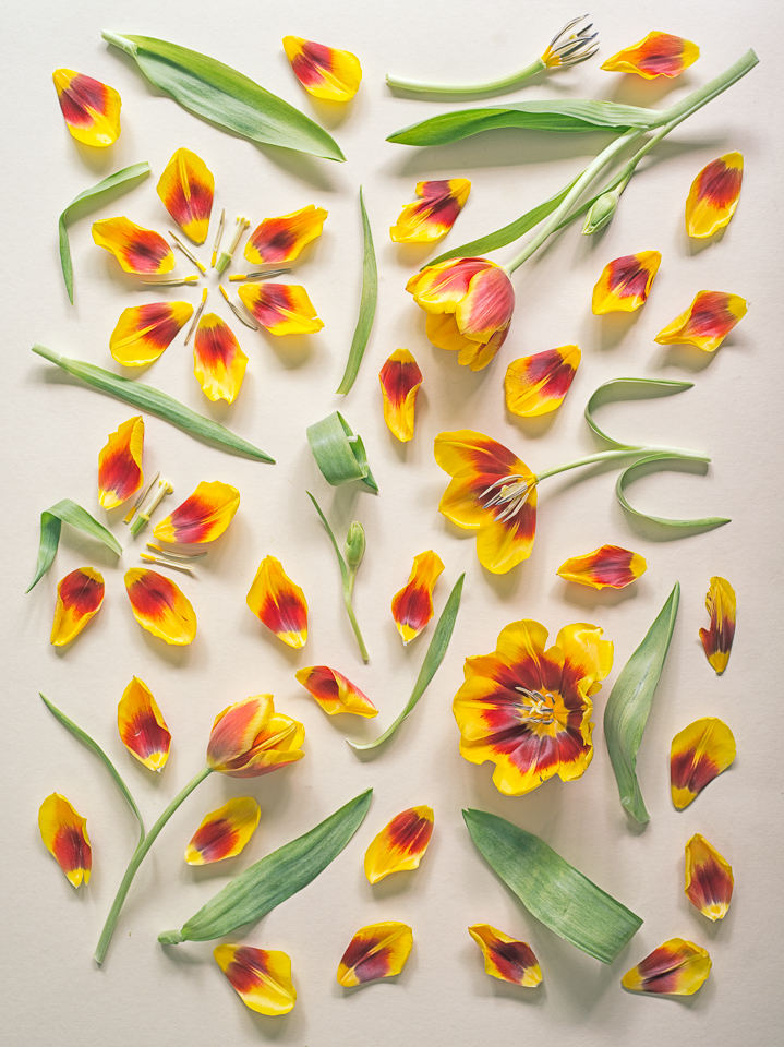 Fong Qi Wei – Sunday Evening Art Gallery